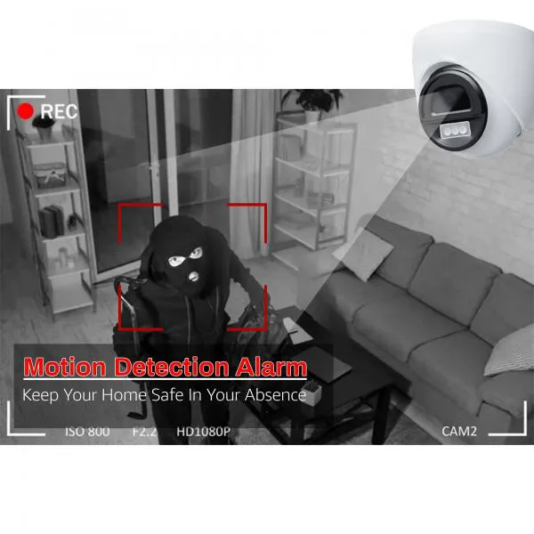 Indoor Smart Dome IP Camera: Motion, Rotation, App View